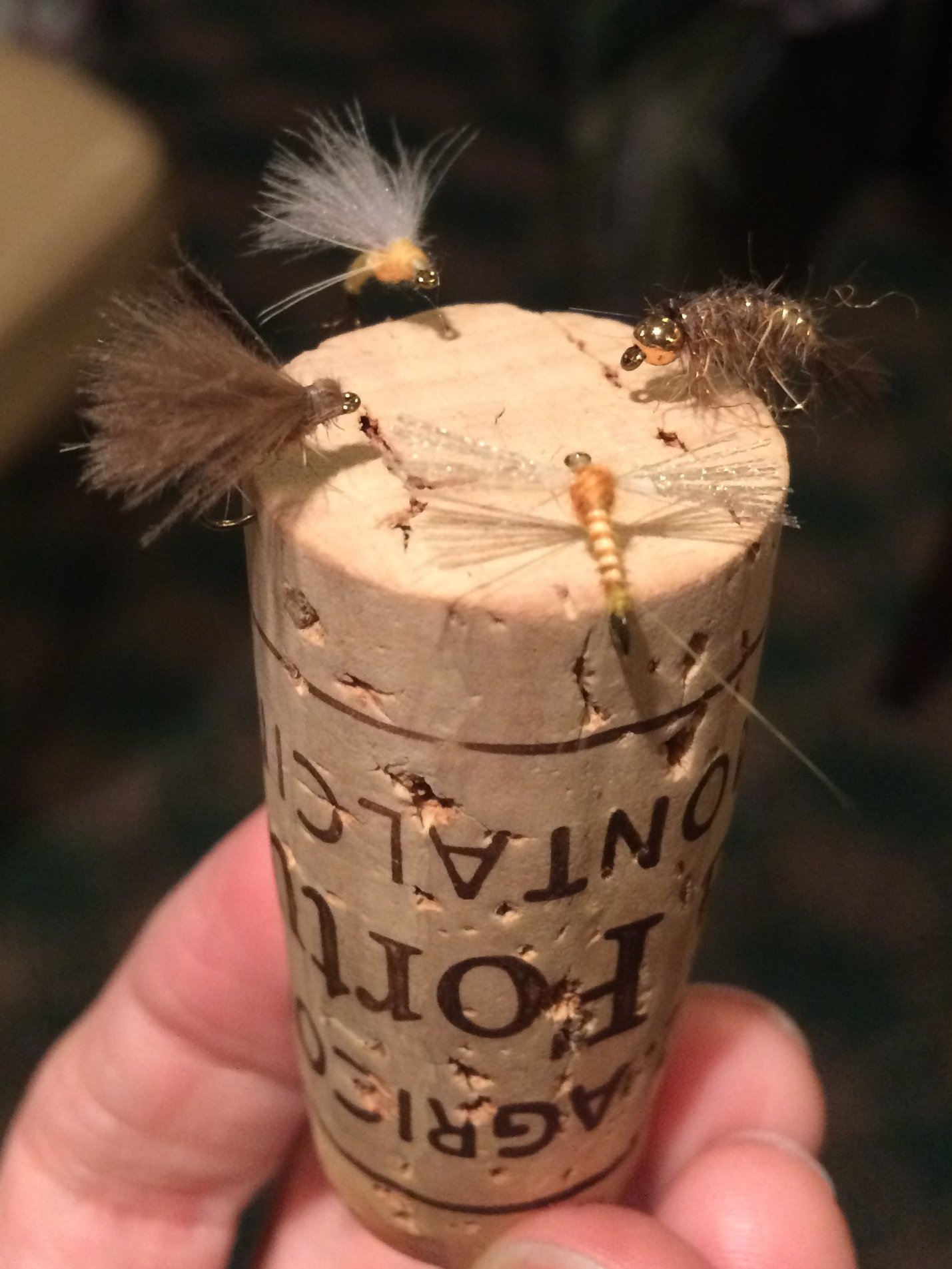 Tully Hatches – Tulpehocken Chapter Trout Unlimited