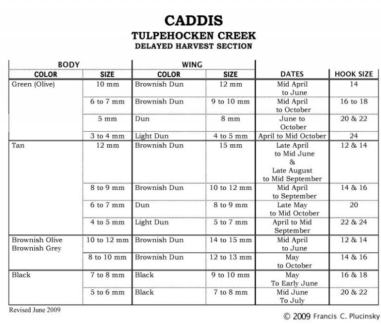 Tully Hatches – Tulpehocken Chapter Trout Unlimited